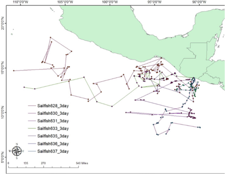 Our Projects – Billfish Conservation